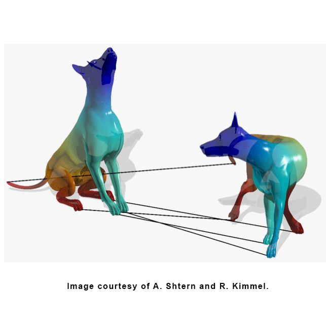 Workshop II: Shape Analysis - IPAM